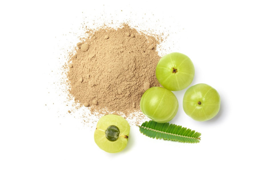 Benefits and uses of amla powder for hair – Saturn by GHC